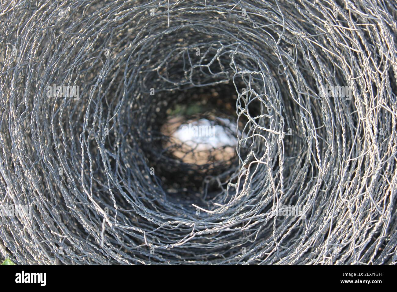 Chicken wire hi-res stock photography and images - Alamy