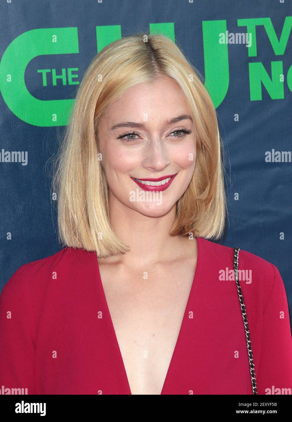 Caitlin Fitzgerald attends The 2014 Television Critics Association ...