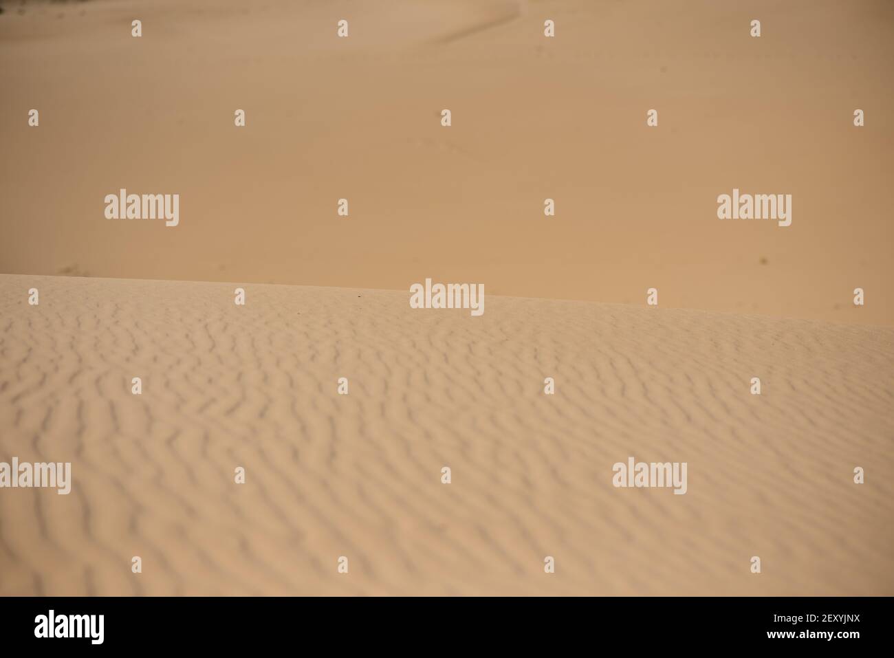 White beach sand shot up close Stock Photo - Alamy