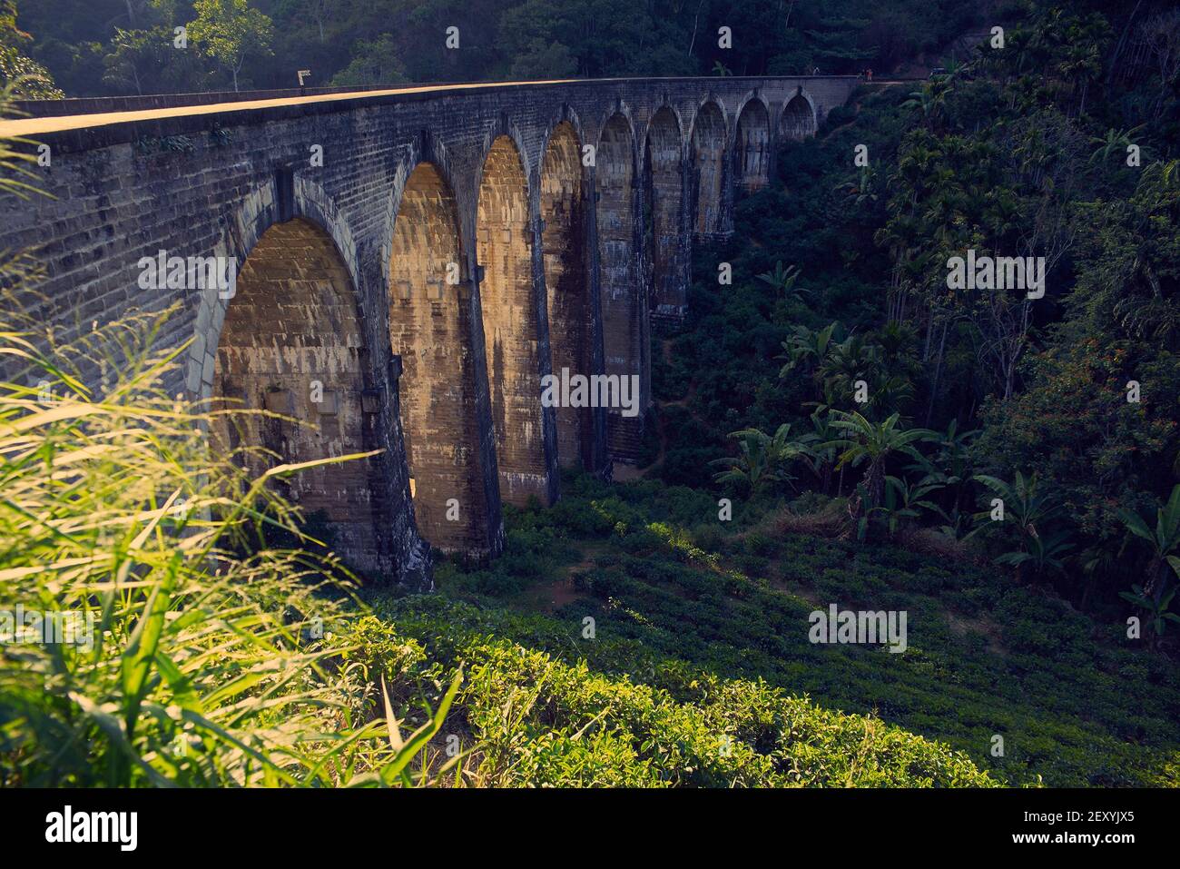 The Nine Arches Bridge is one of the iconic bridges in Sri Lanka Stock ...