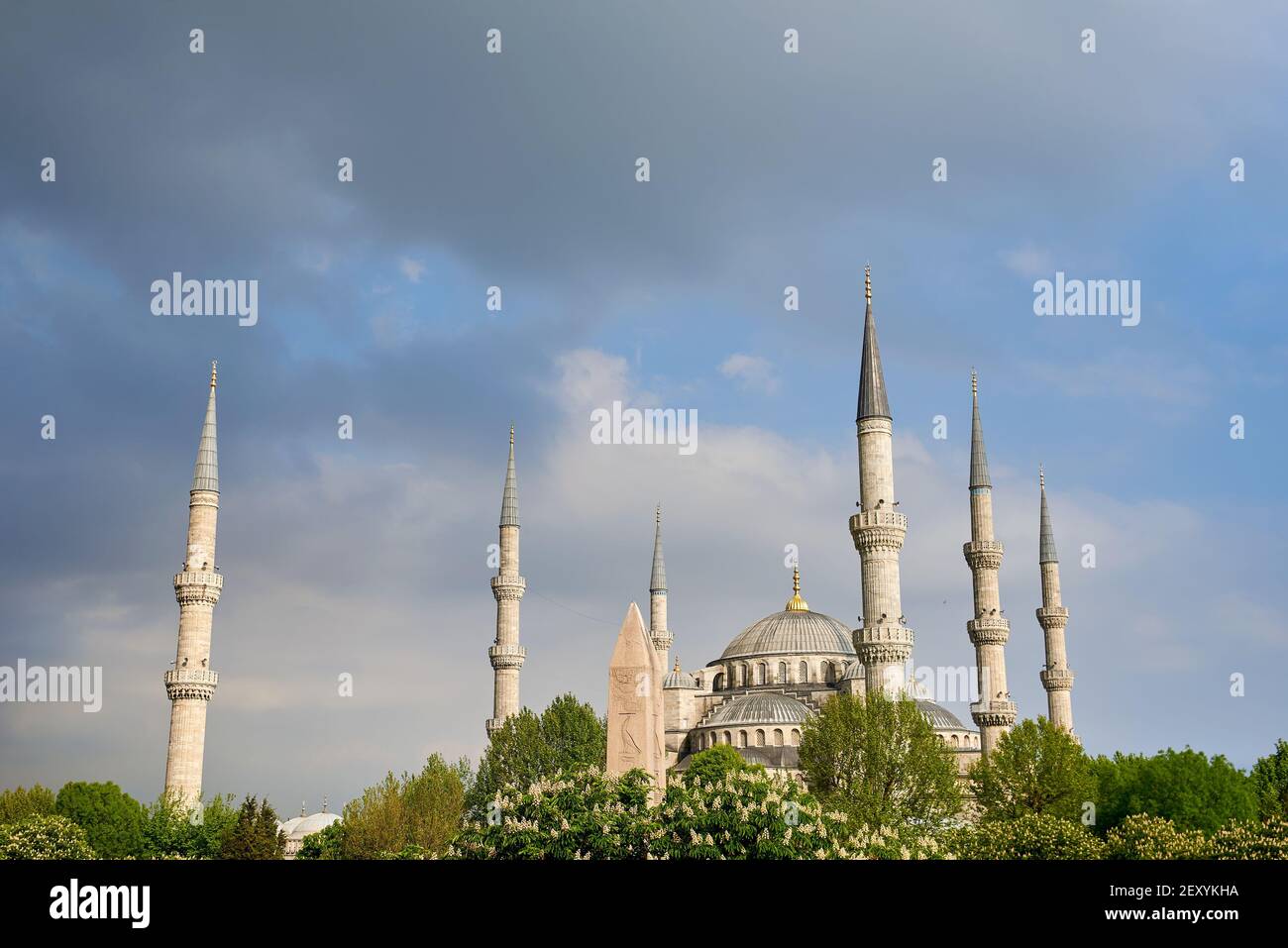 top view of the Blue Mosque in Istanbul Stock Photo - Alamy