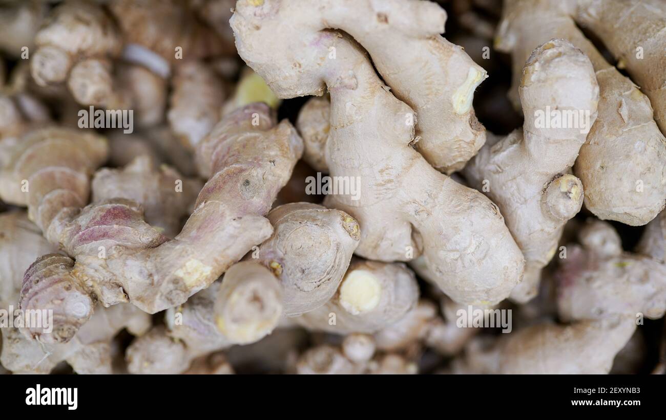 ginger in market. Fresh organic ginger background texture . full frame ...