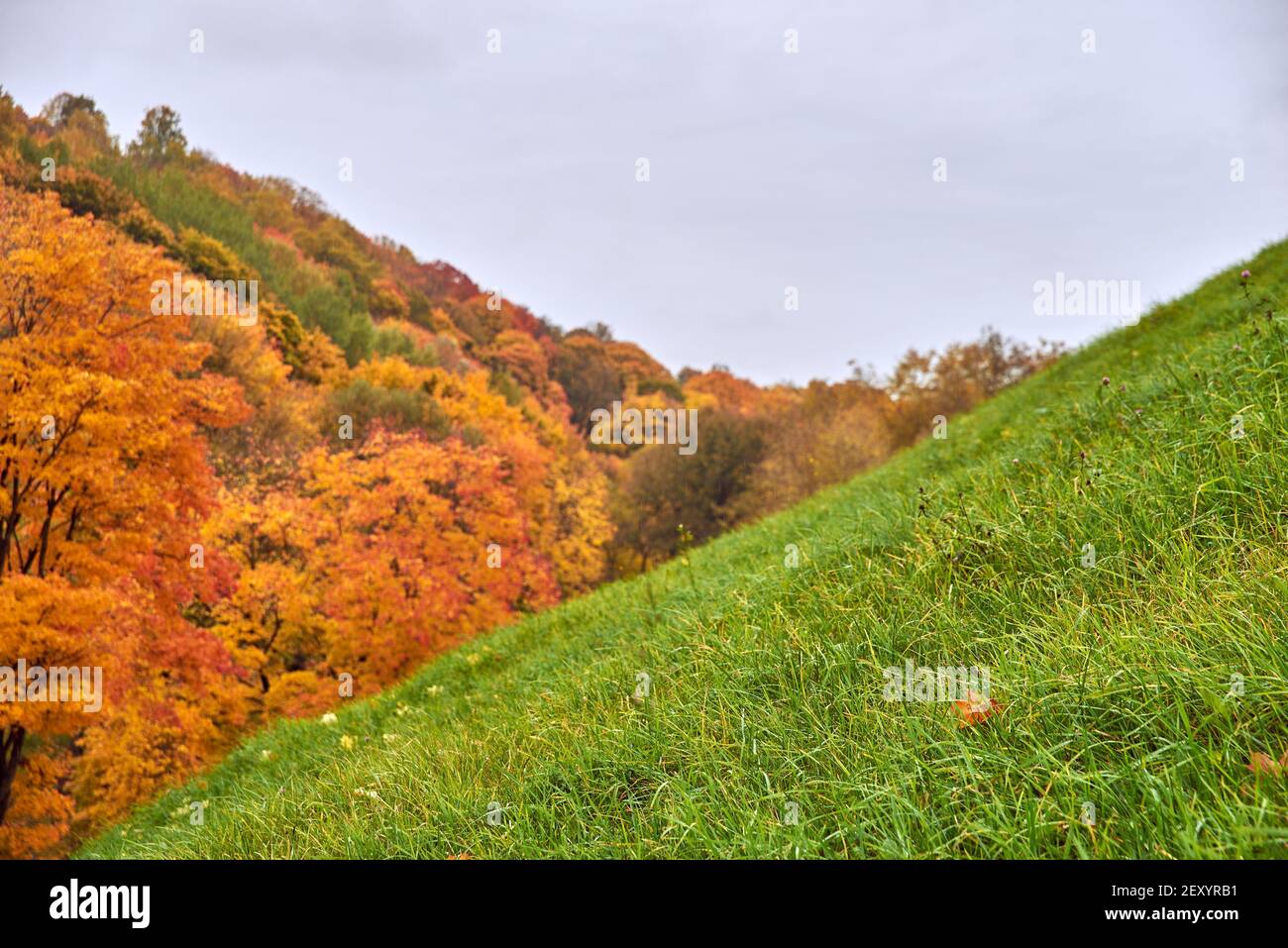 Lithuania park hi-res stock photography and images - Alamy