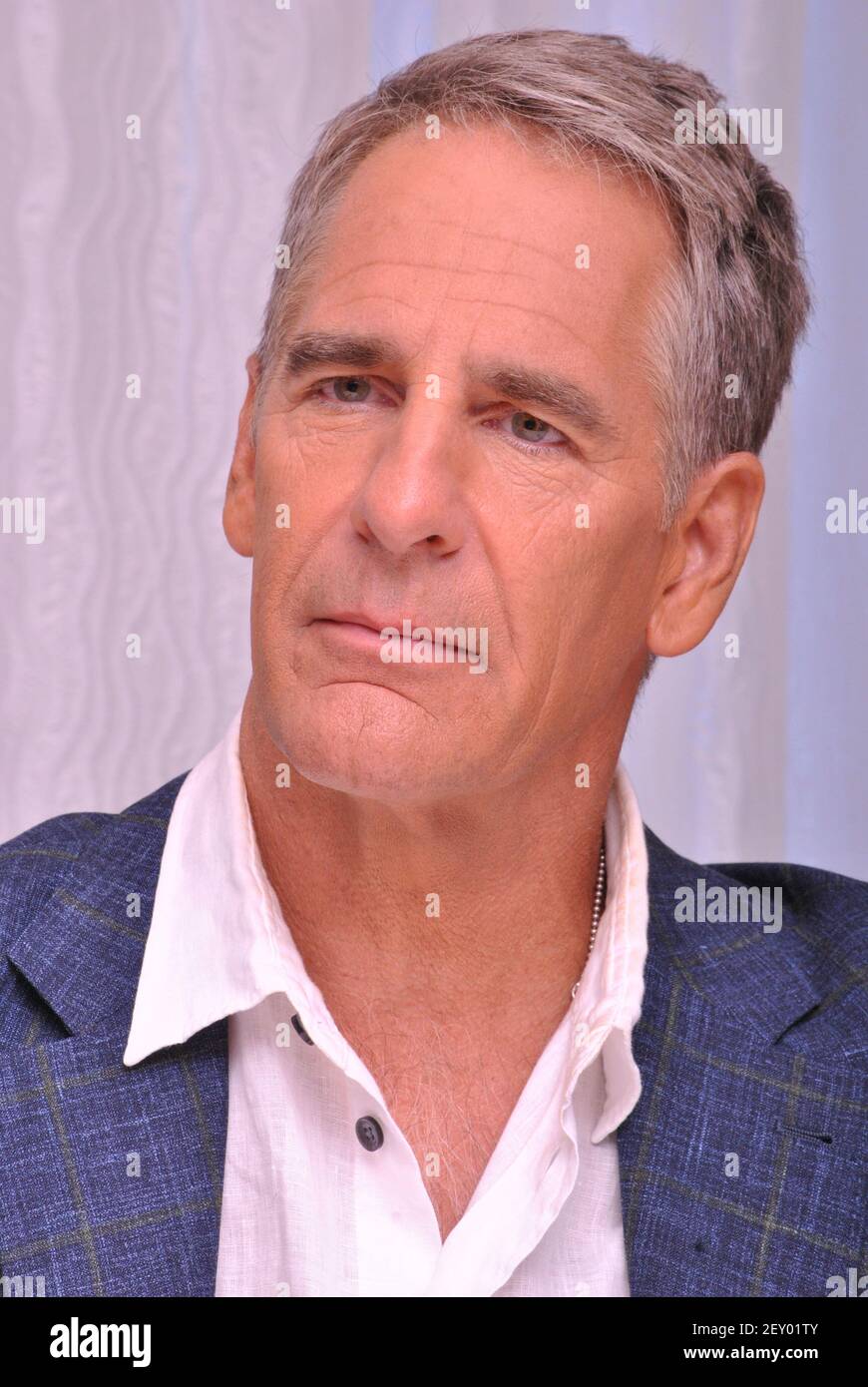 Scott Bakula at the Hollywood Foreign Press Association press ...