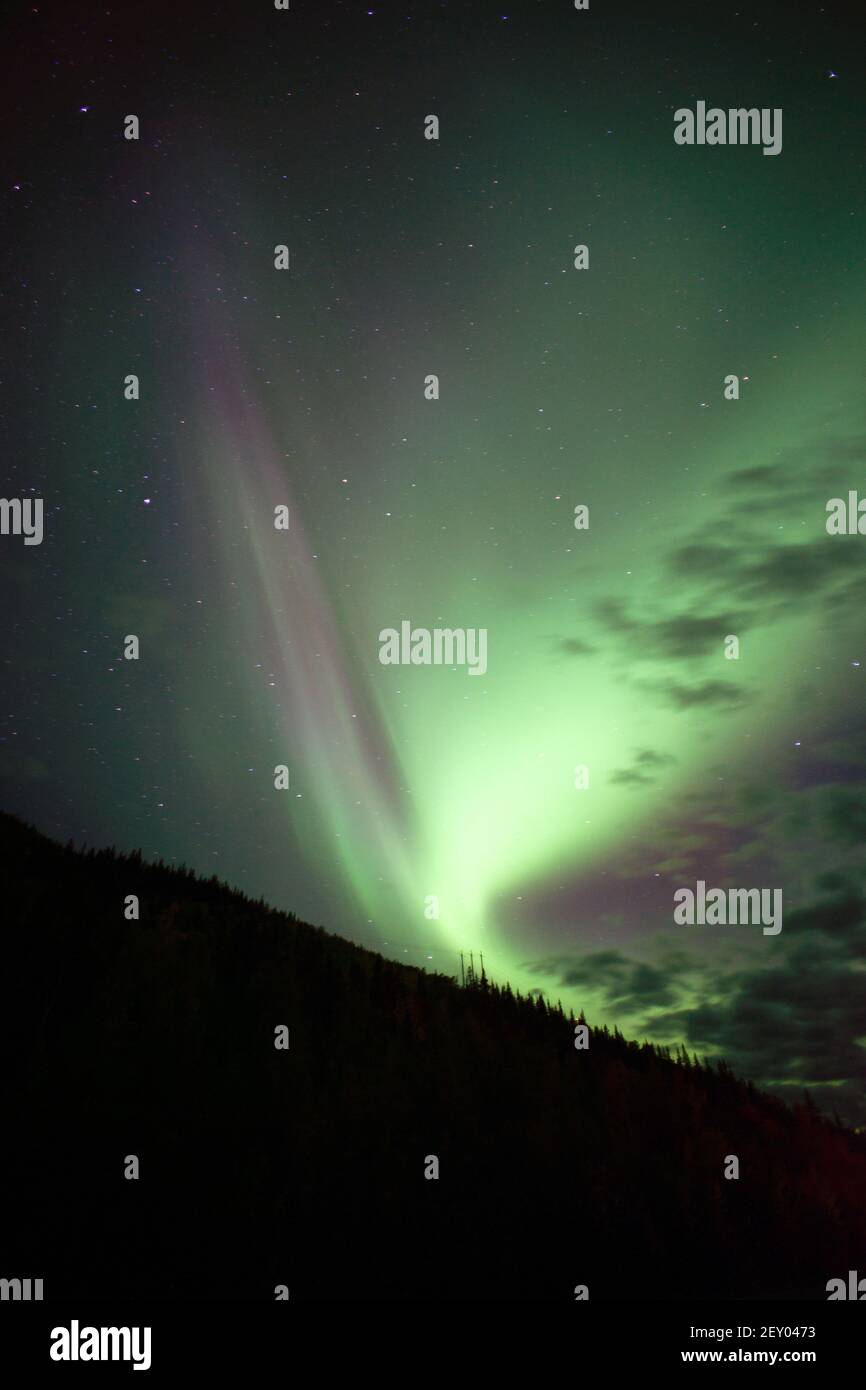 Hillside Trees Northern Lights Aurora Borealis Alaska Night Sky Stock ...