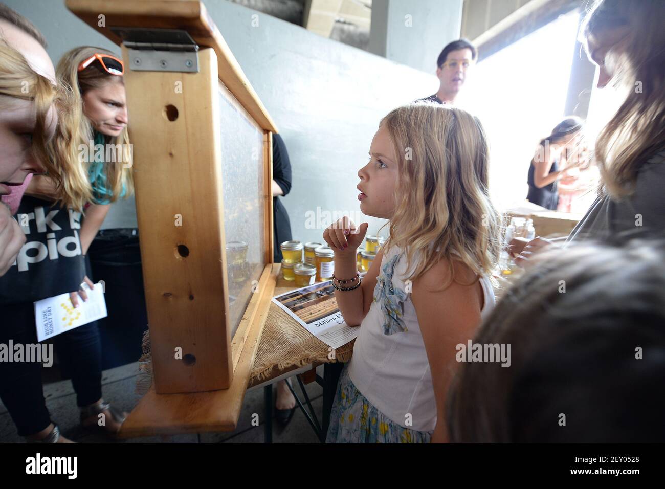 Leila Marinella Castronovo, 7, looks at bees in a glass encased ...