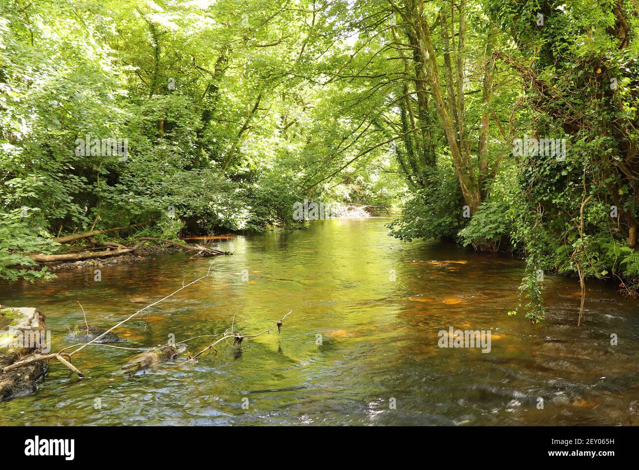 Clear waters of a Cornish stream showing the muddy brown stones ...