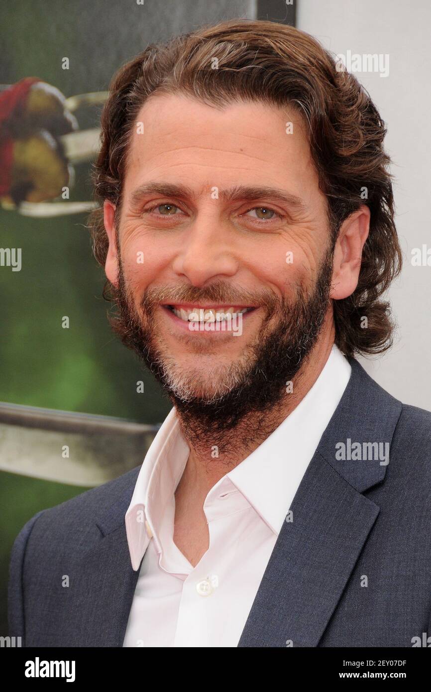 3 August 2014 - Westwood, California - Andrew Form. "Teenage Mutant ...