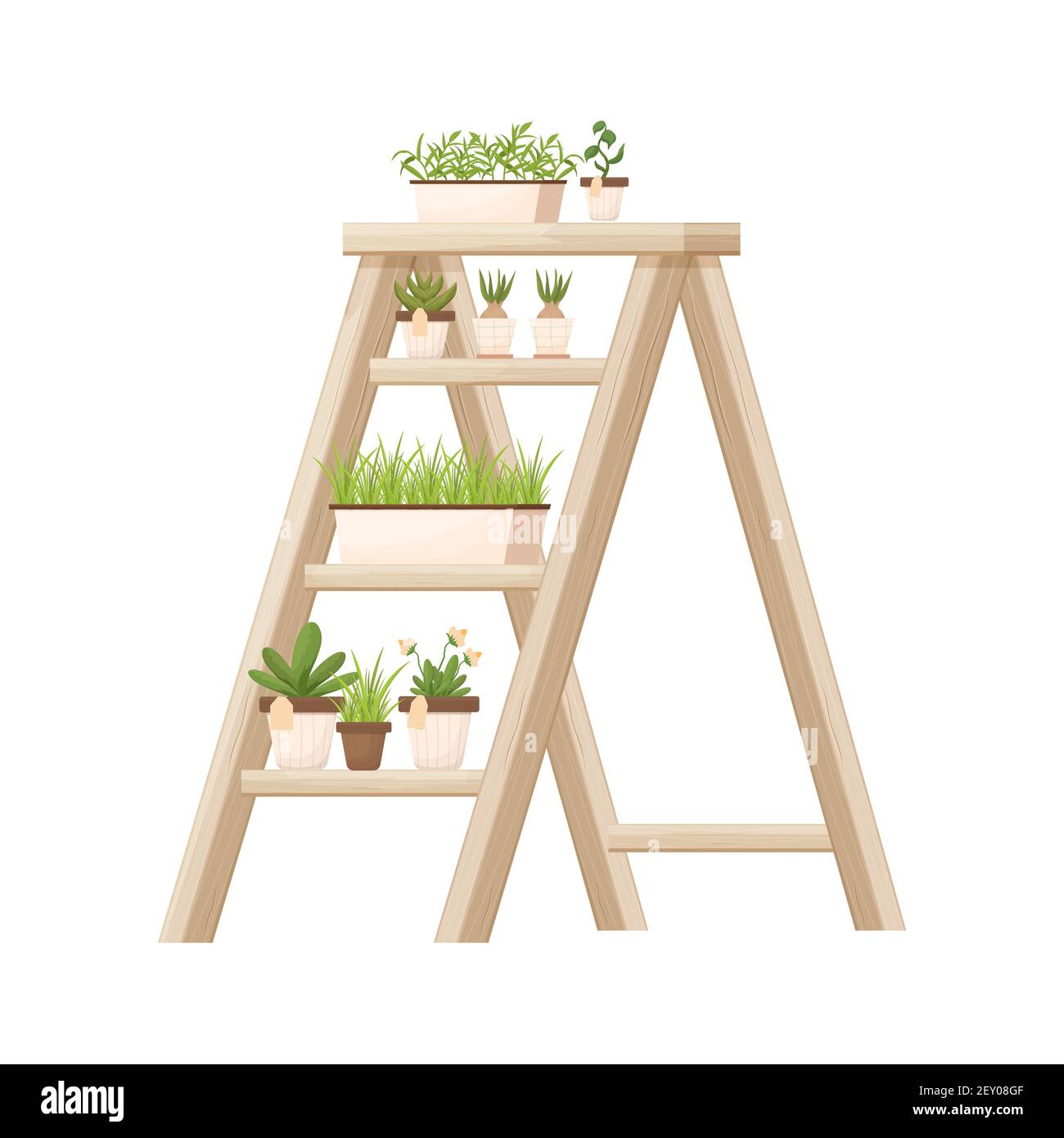 Decoration in florist shop Stock Vector Images - Alamy