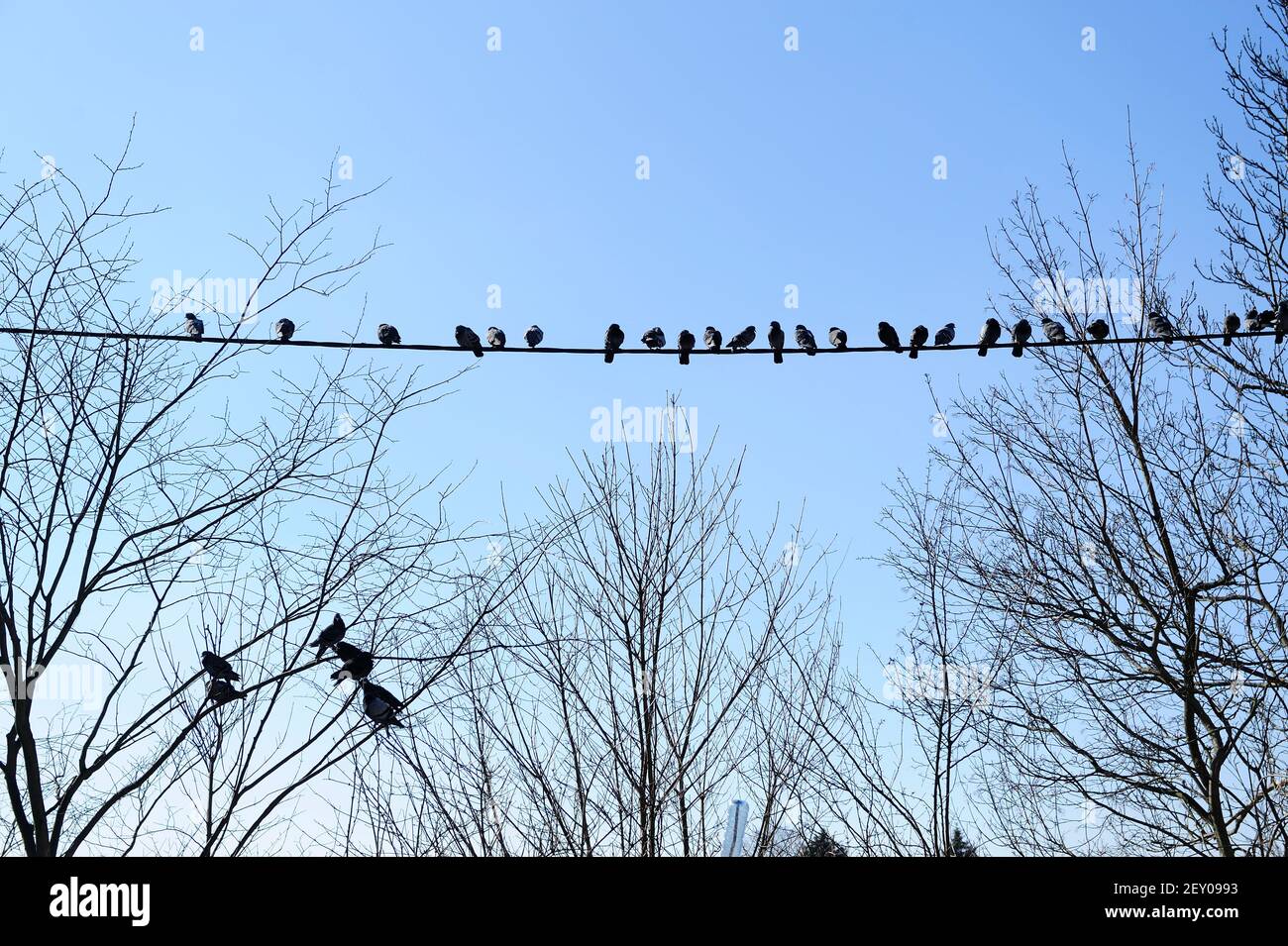 Waiting photo hi-res stock photography and images - Alamy