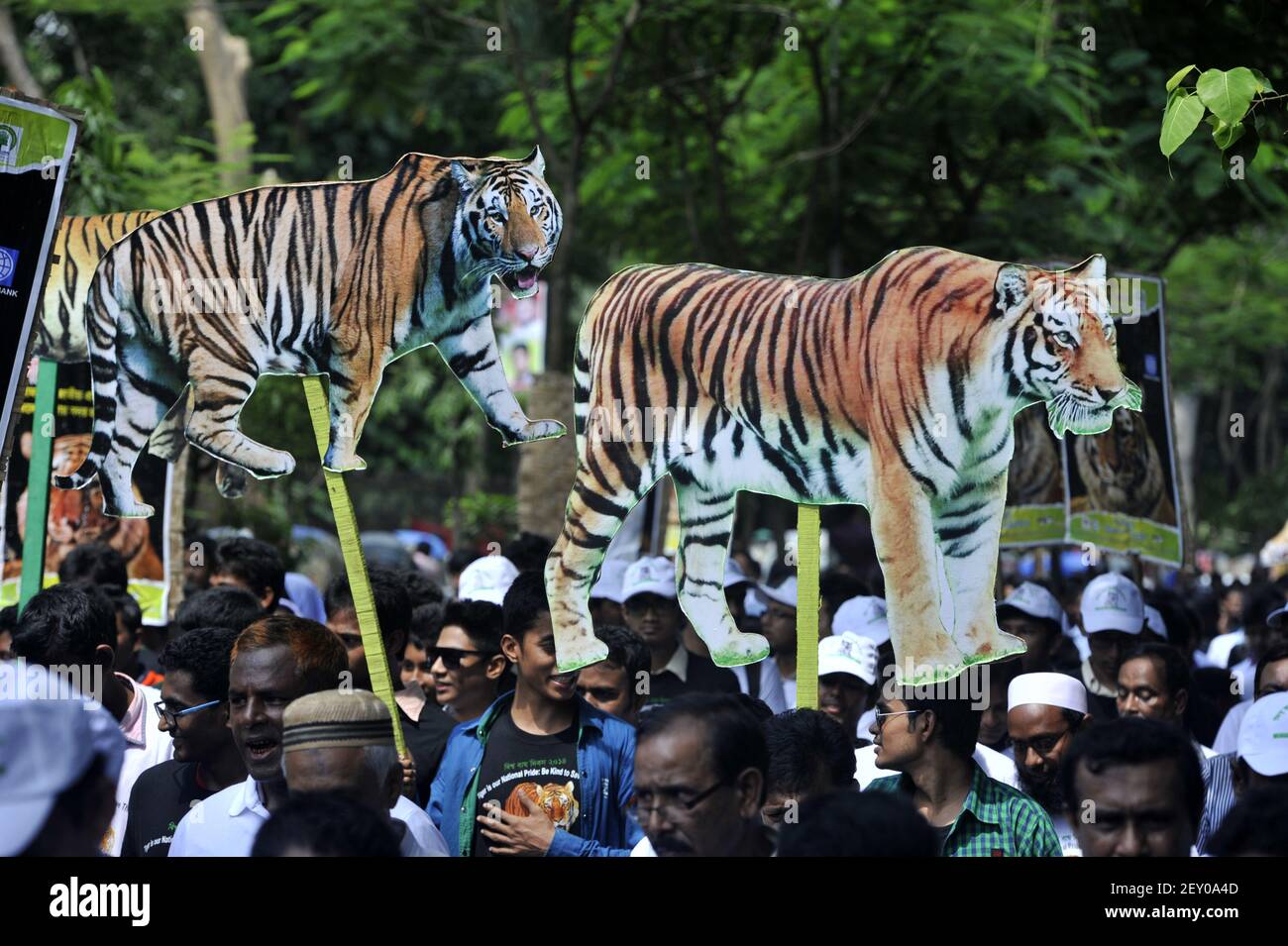 People attend the street parade of the â€œGlobal Tiger Dayâ€ in Dhaka ...