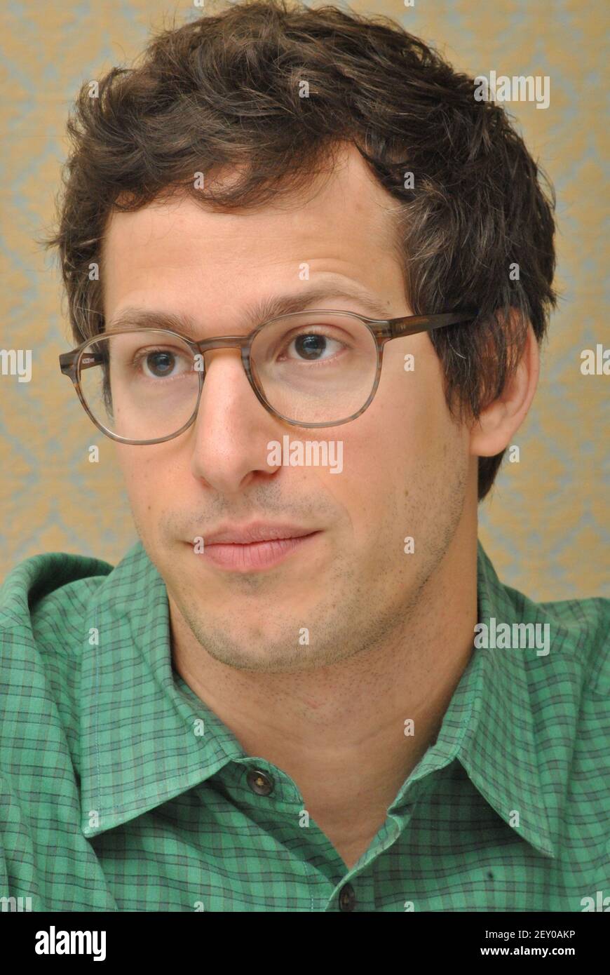 Andy Samberg at the Hollywood Foreign Press Association press ...