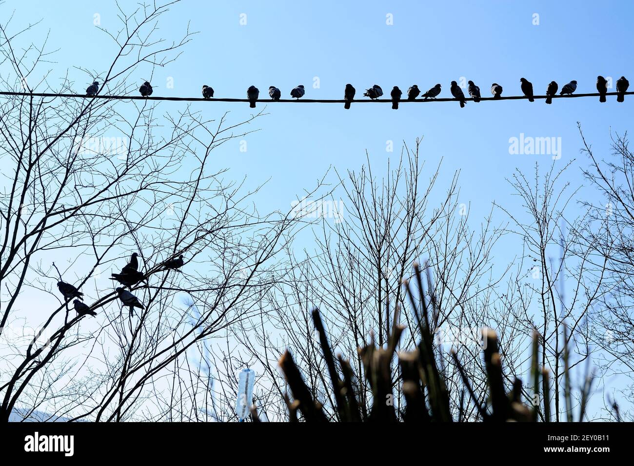 Waiting Photo High Resolution Stock Photography and Images - Alamy