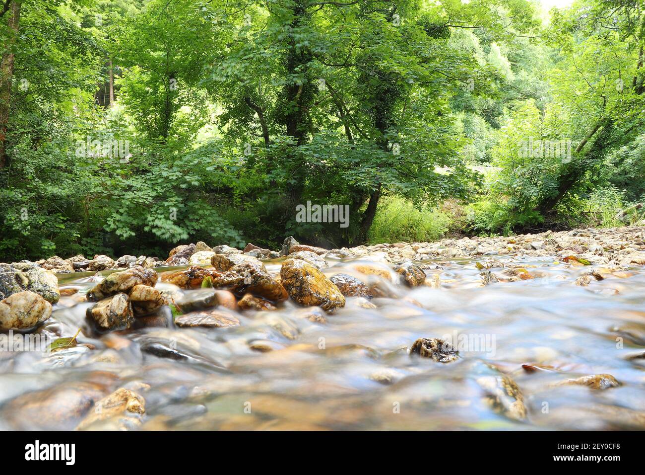 Rushing streams around Restormal Castle in Cornwall Stock Photo - Alamy