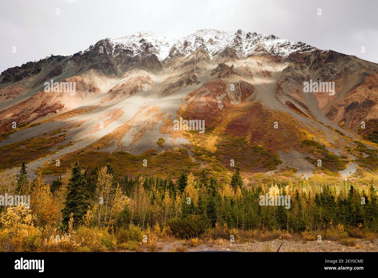 Fall Color Snow Capped Peak Alaska Range Fall Autumn Season Stock Photo - Alamy
