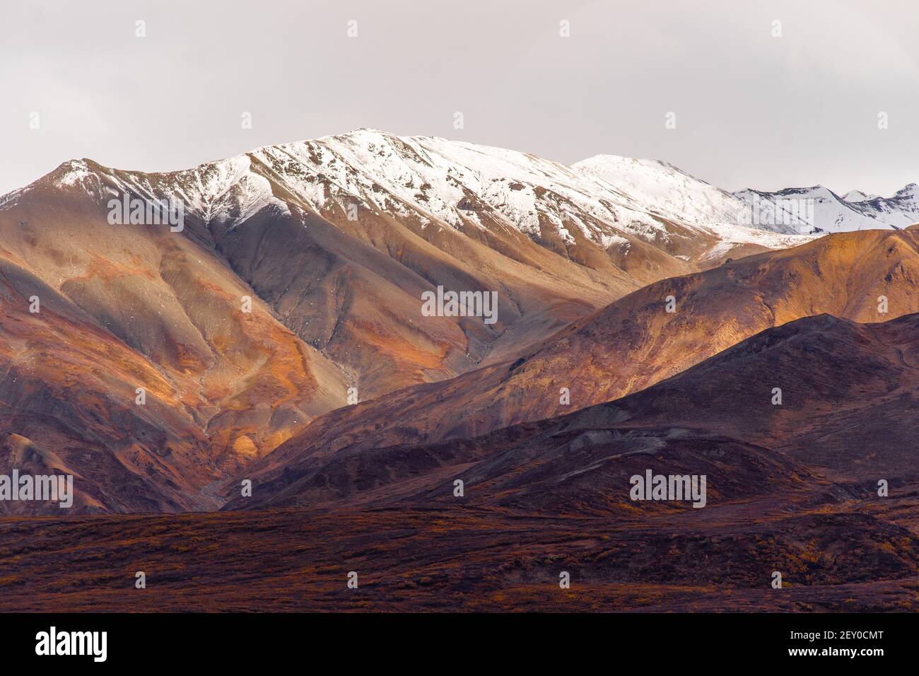 Fall Color Snow Capped Peak Alaska Range Fall Autumn Season Stock Photo ...