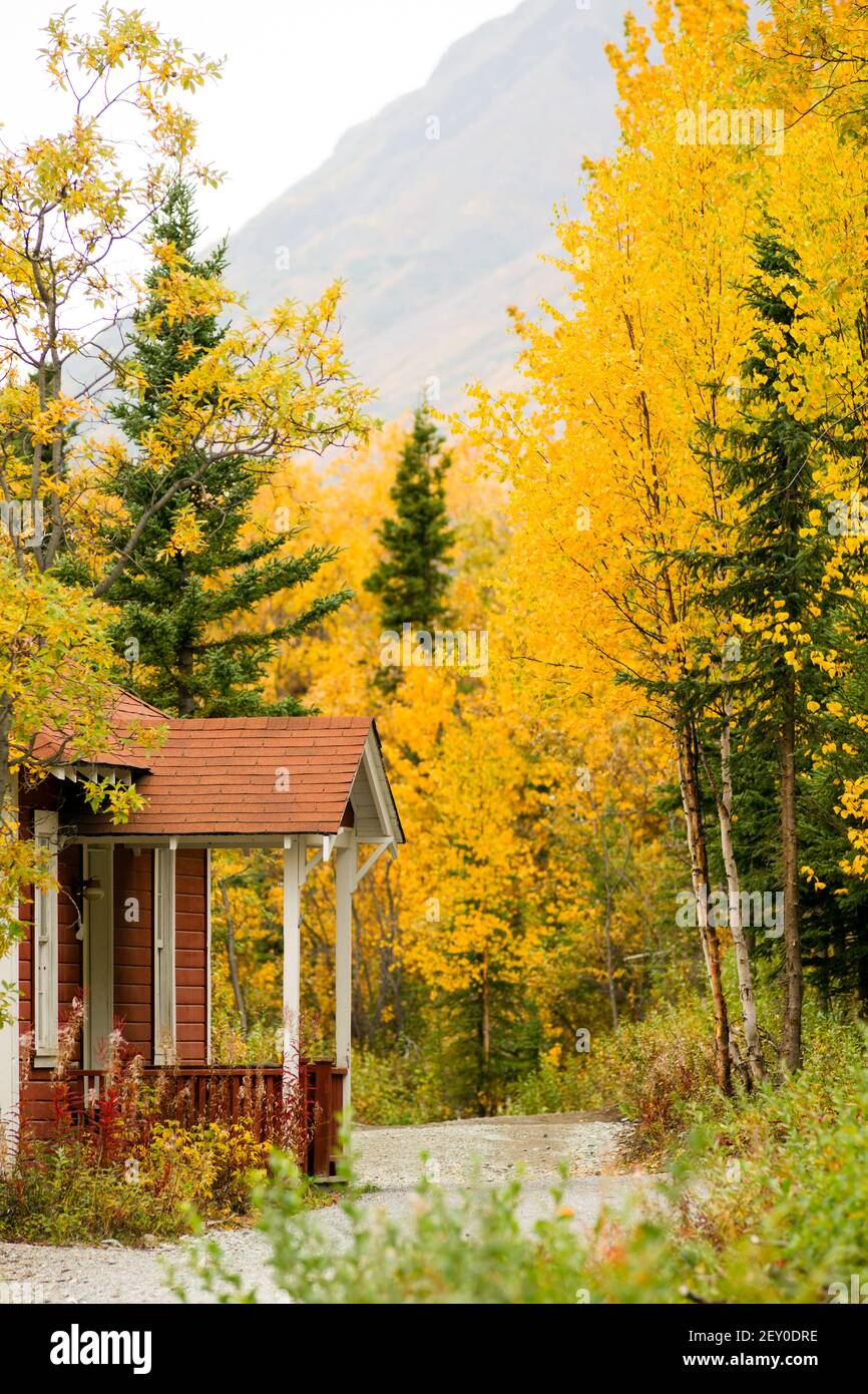 Porch Along Mountain Trail Fall Leaves Changing Stock Photo - Alamy