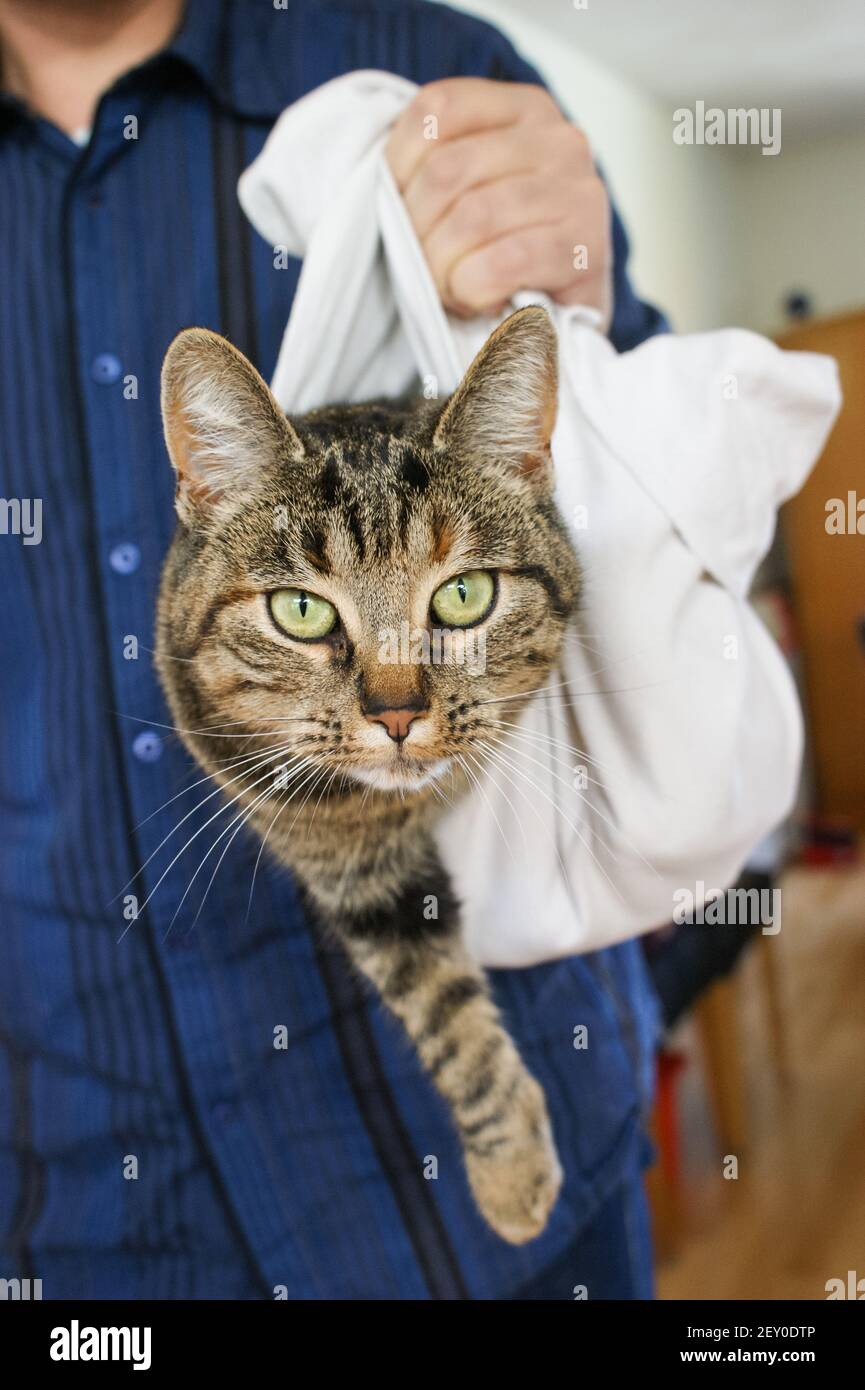 Ag cat hi-res stock photography and images - Alamy
