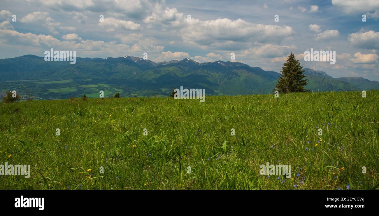 Krivanska Mala Fatra mountains with highest Velky Krivan hill from ...