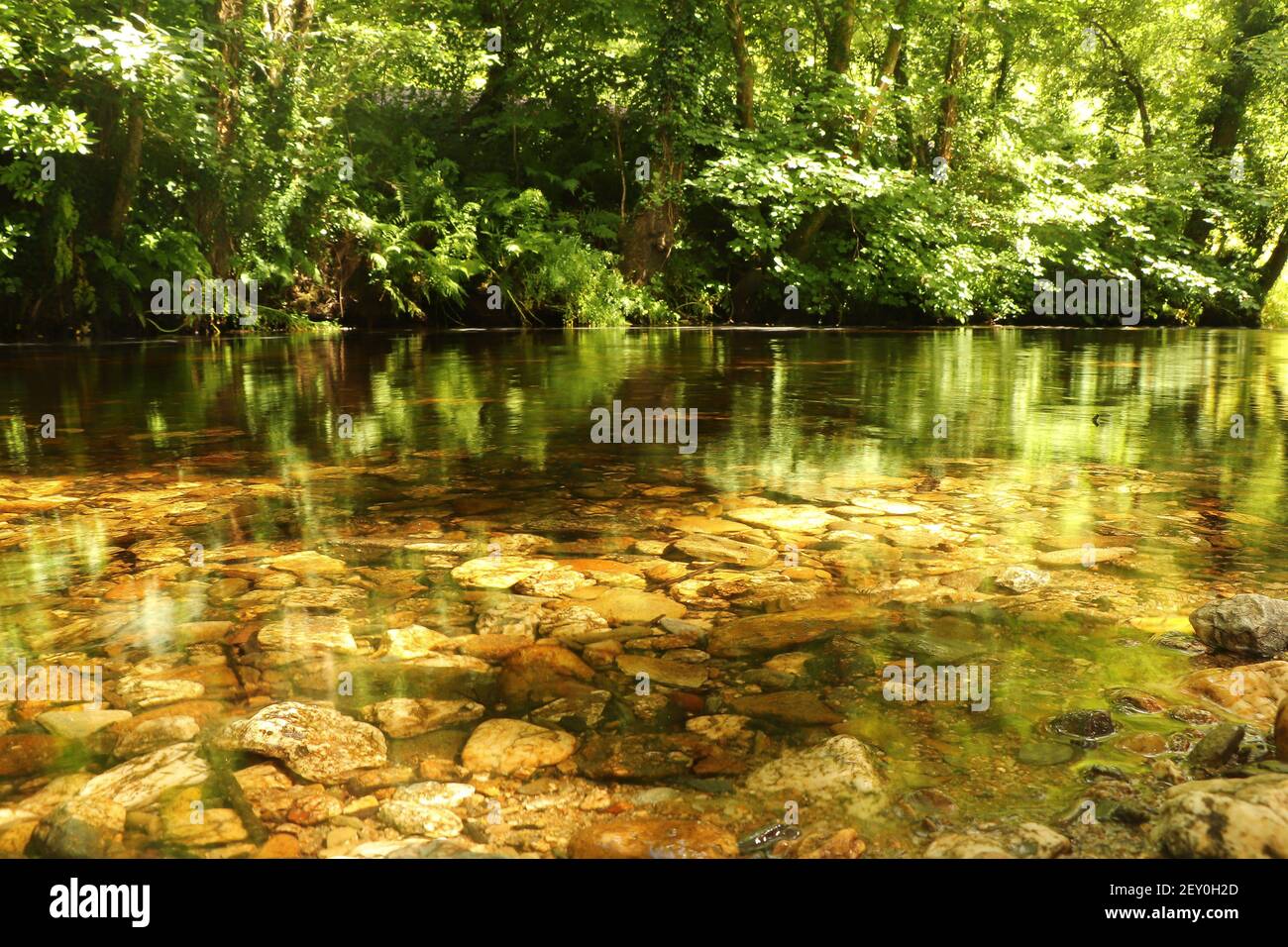 Clear waters of a Cornish stream showing the muddy brown stones ...