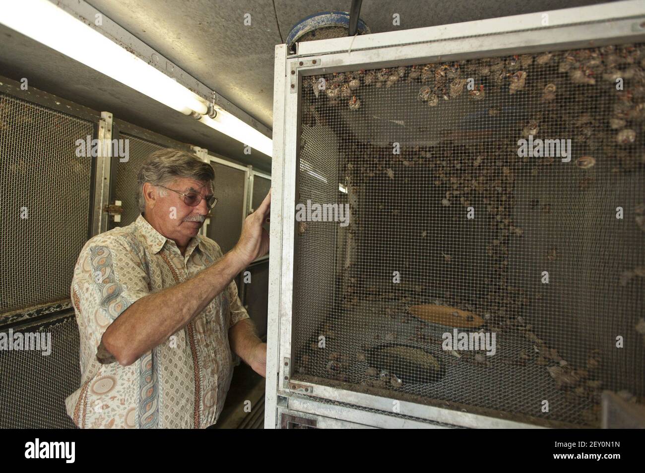 Bill Huelsenbeck, mayor of Ship Bottom, N.J., and owner of Shell Shanty ...