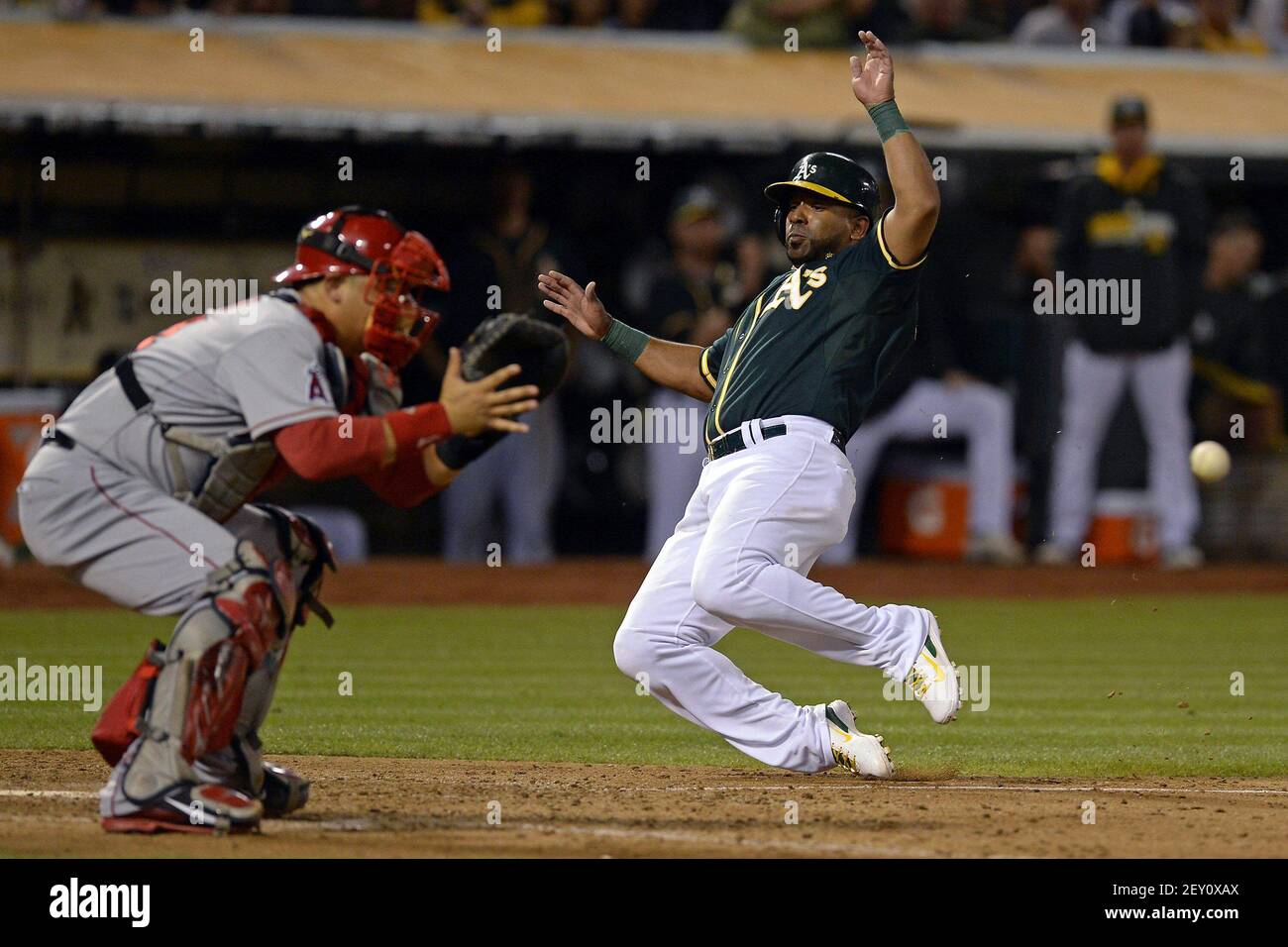 The Oakland Athletics' Alberto Callaspo, right, slides to score at home ...