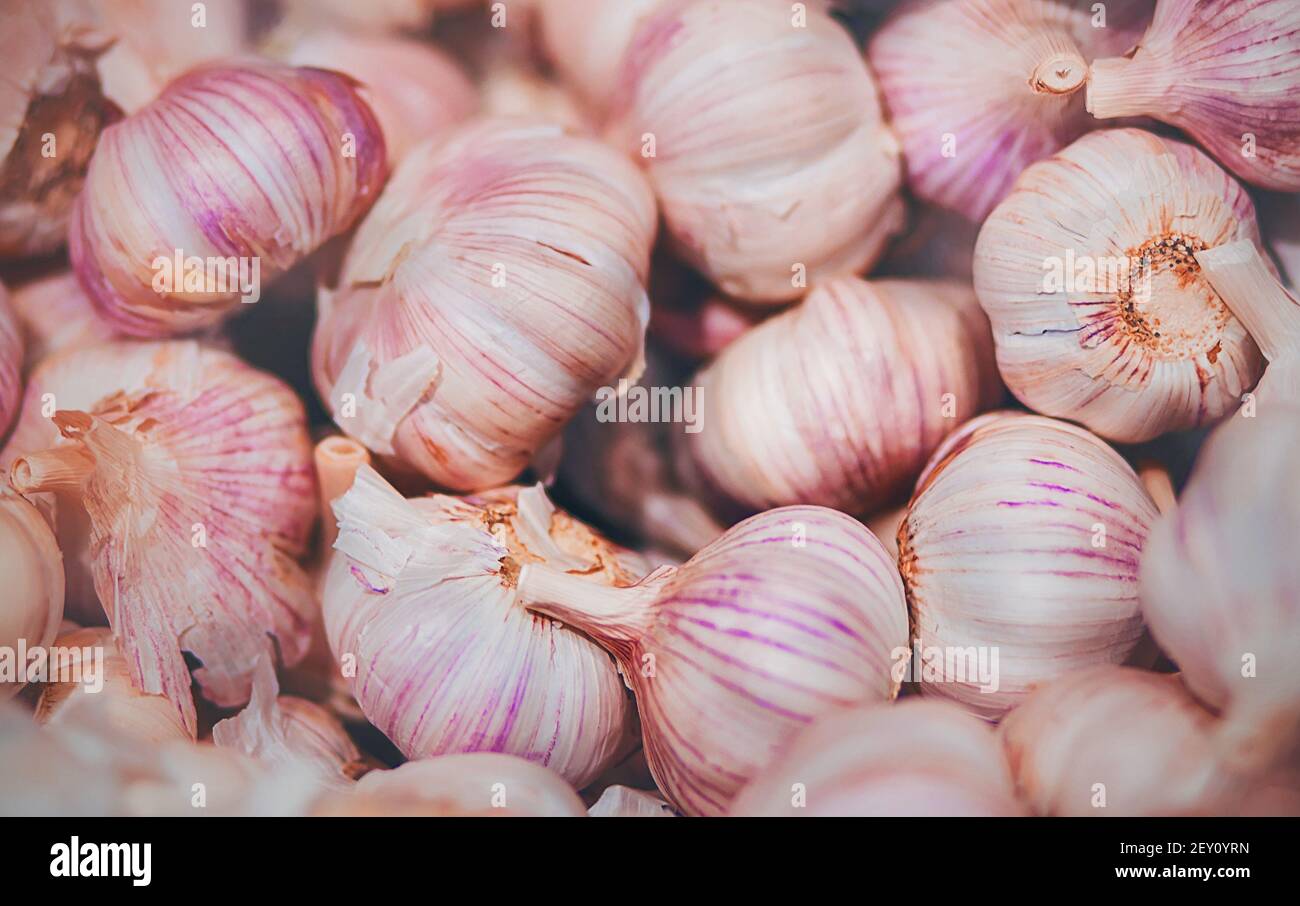 Bulbs of ripe garlic are in the grocery store in large quantities. A ...