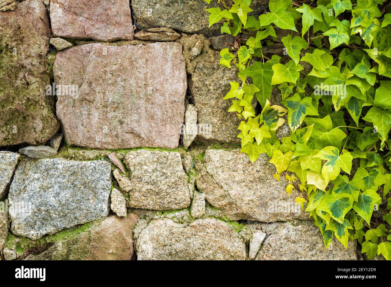 Ivy and retaining wall hi-res stock photography and images - Alamy