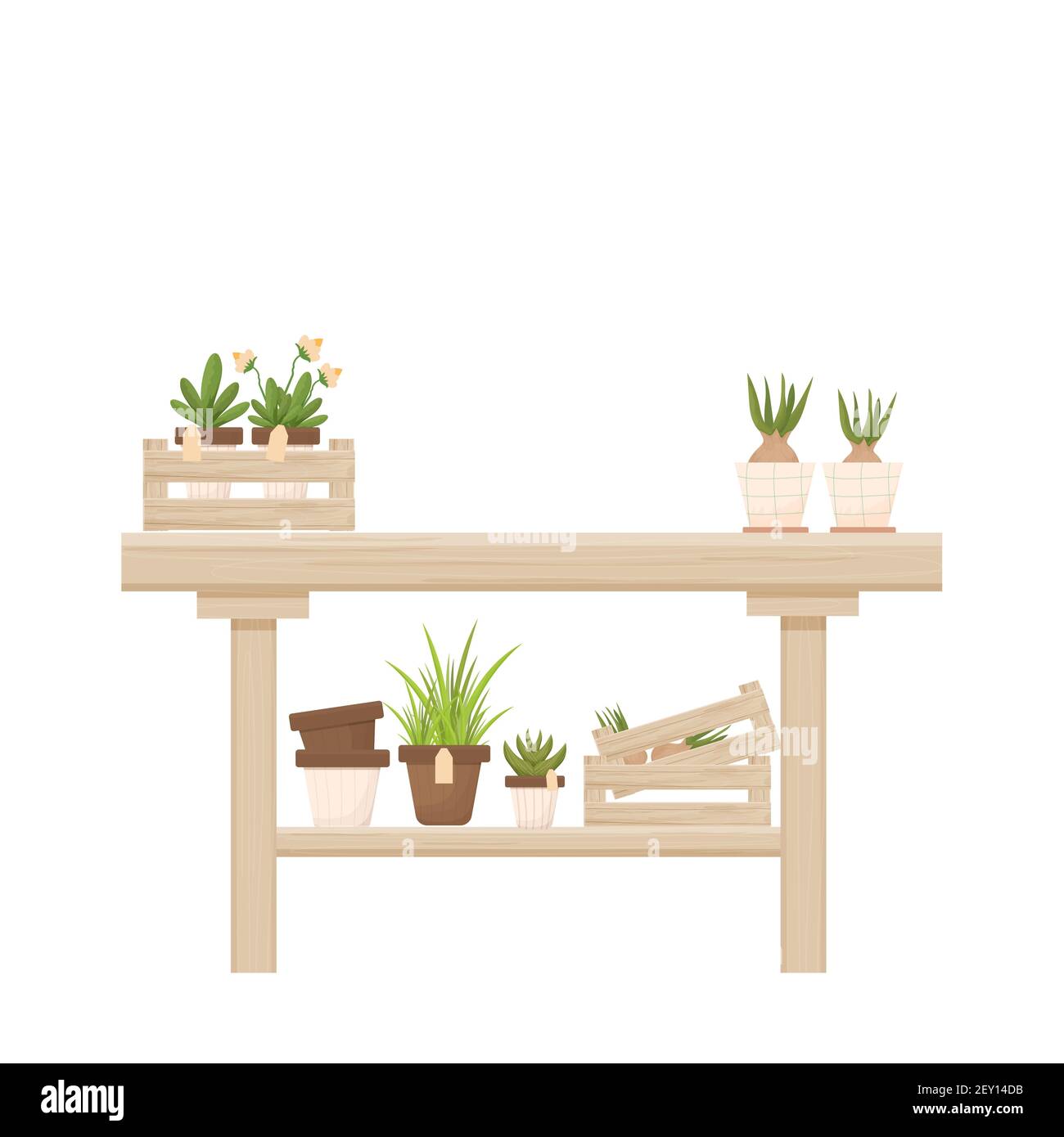 Wooden table with potted plants, flowers, florist shop, orangery ...