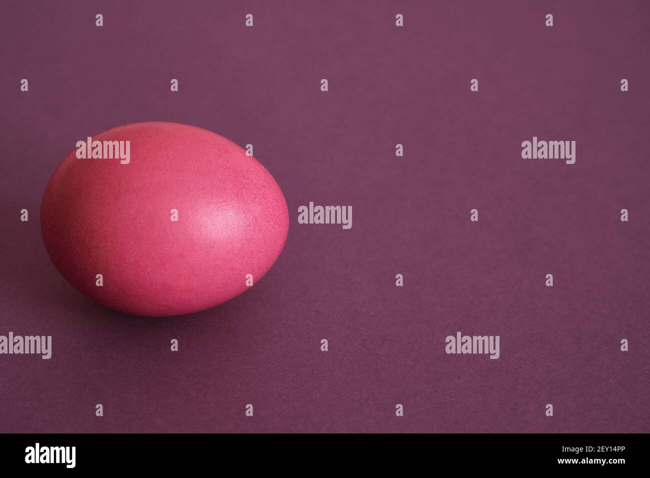 Painted pink egg on a violet background. Abstract composition. Top view ...