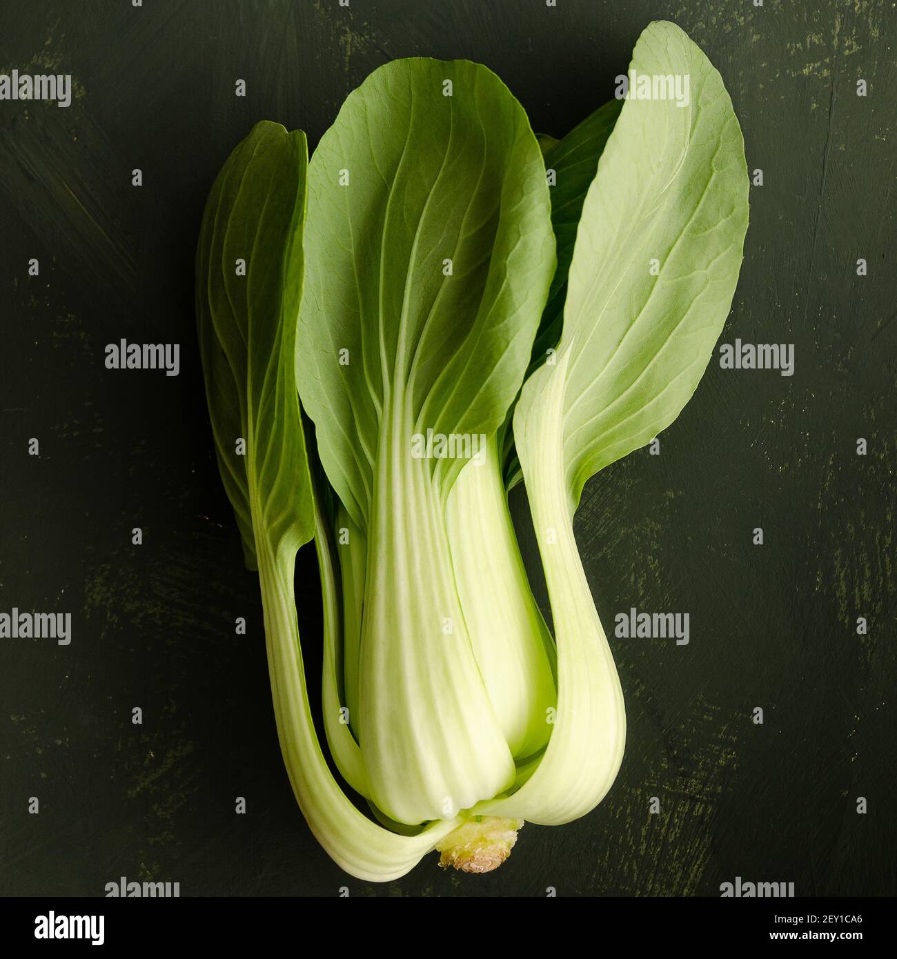 Bok choy plant hi-res stock photography and images - Alamy