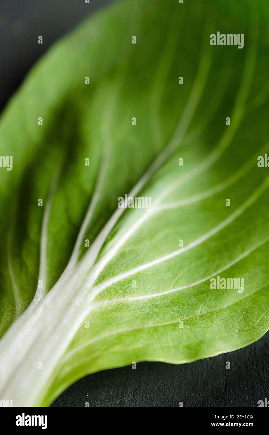 Detail of a pak choy leaf Stock Photo - Alamy