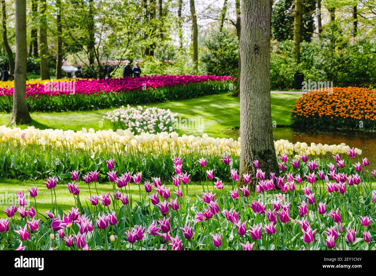 Blooming flowers in a Spring Formal Garden Stock Photo - Alamy