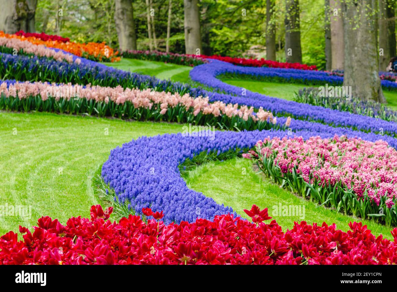 Spring flowers in formal hi-res stock photography and images - Alamy