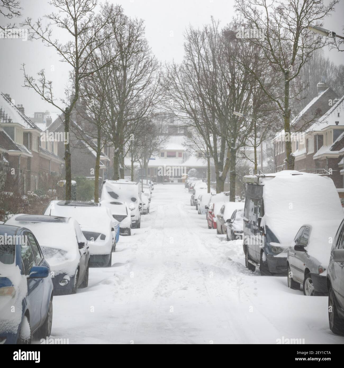 A typical Dutch street during the snowfall in the winter in the ...