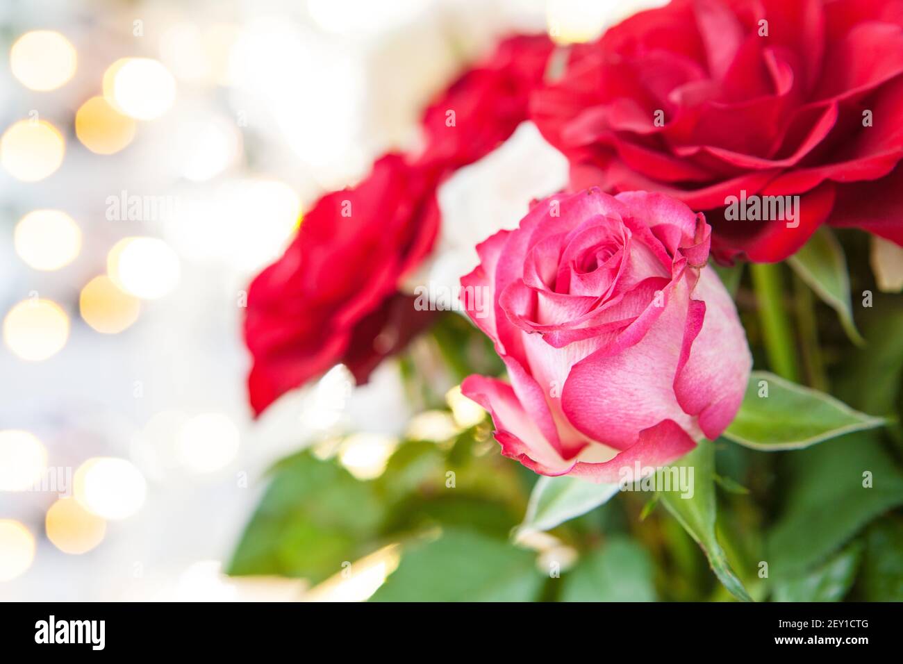 Bouquet fresh bright roses hi-res stock photography and images - Alamy