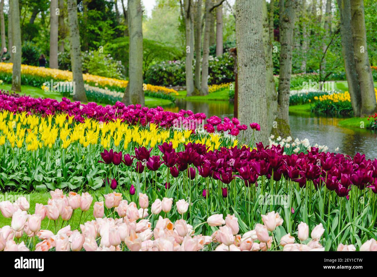 Spring formal garden hi-res stock photography and images - Alamy