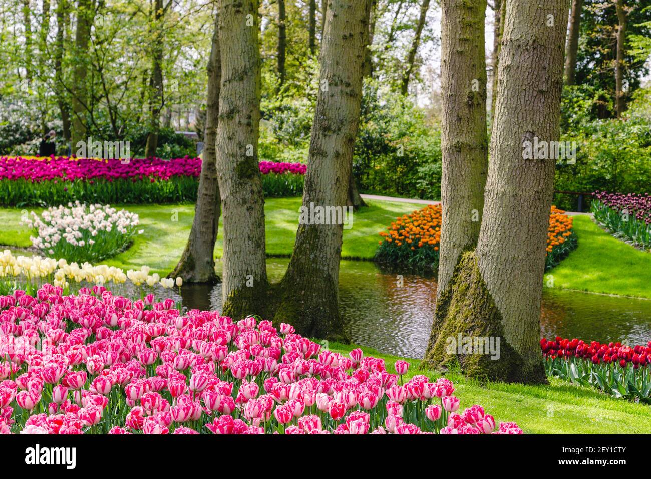 Blooming flowers in a Spring Formal Garden Stock Photo - Alamy