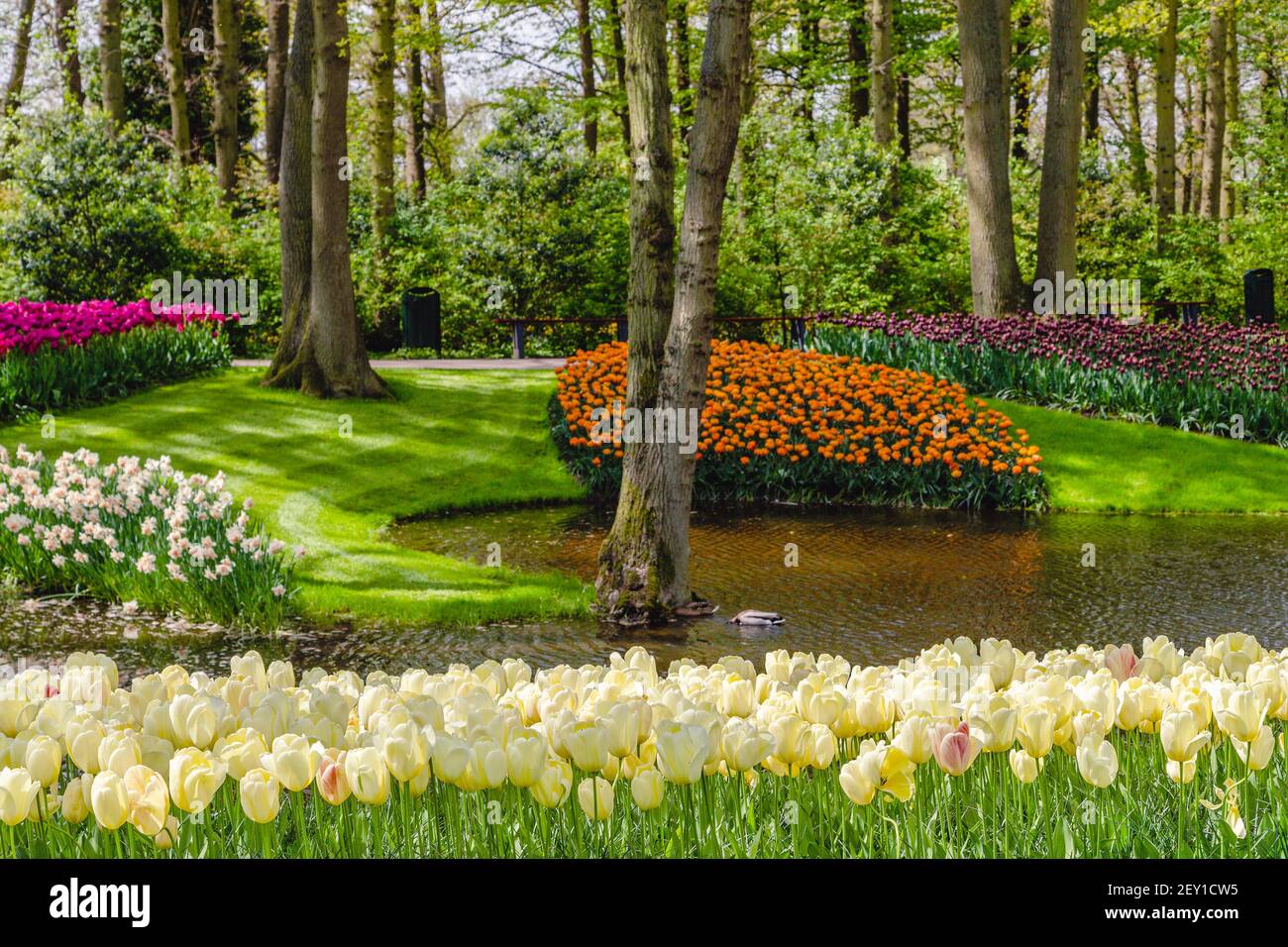 Blooming flowers in a Spring Formal Garden Stock Photo - Alamy