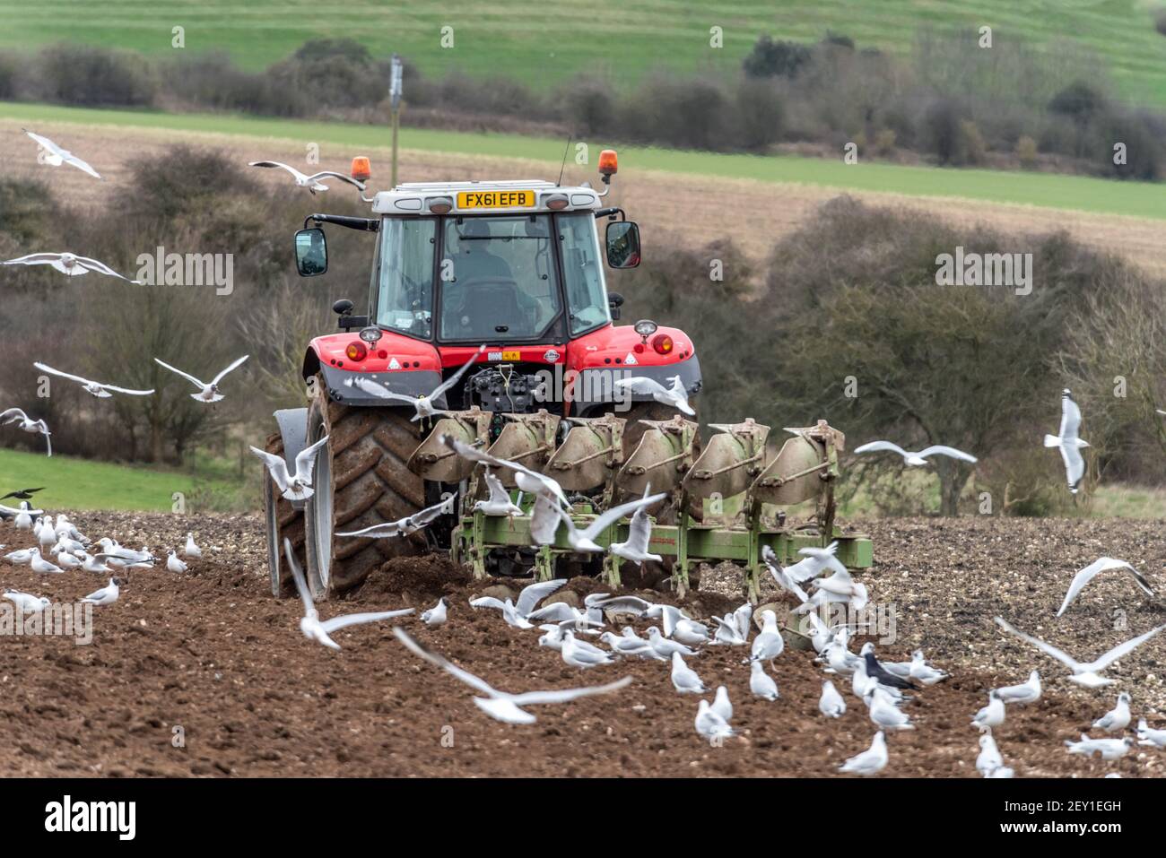 Brighton, March 5th 2021: A farmer on the South Downs in East Sussex ...