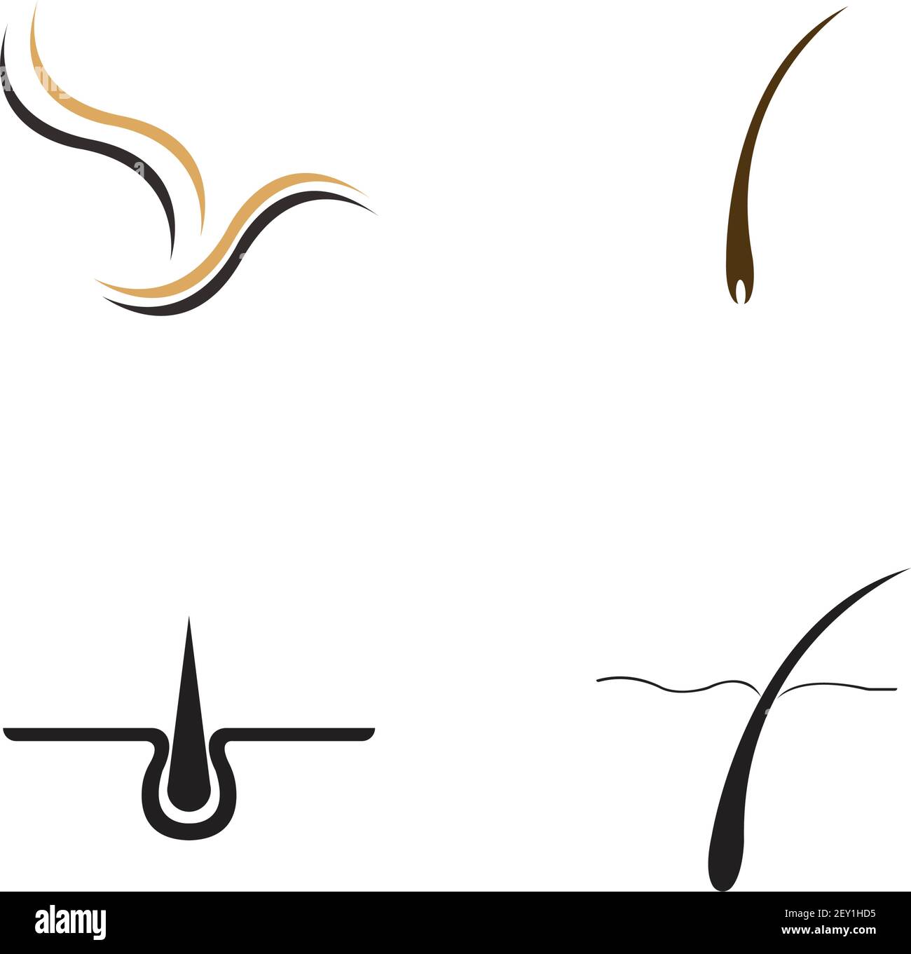 Hair treatments vector icon Illustration design template Stock Vector ...