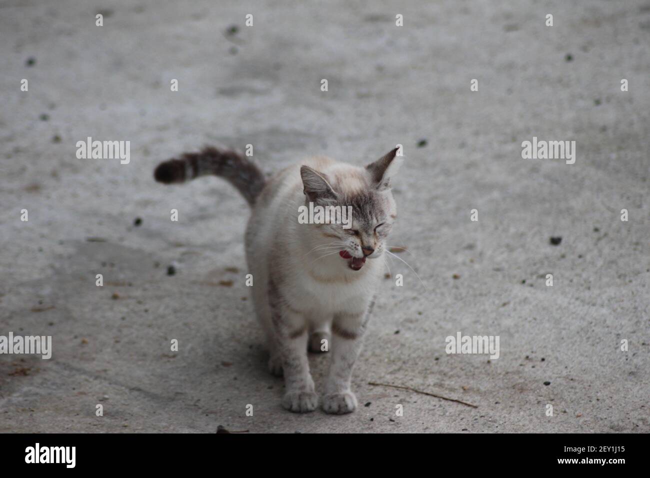 Funny stone hi-res stock photography and images - Alamy