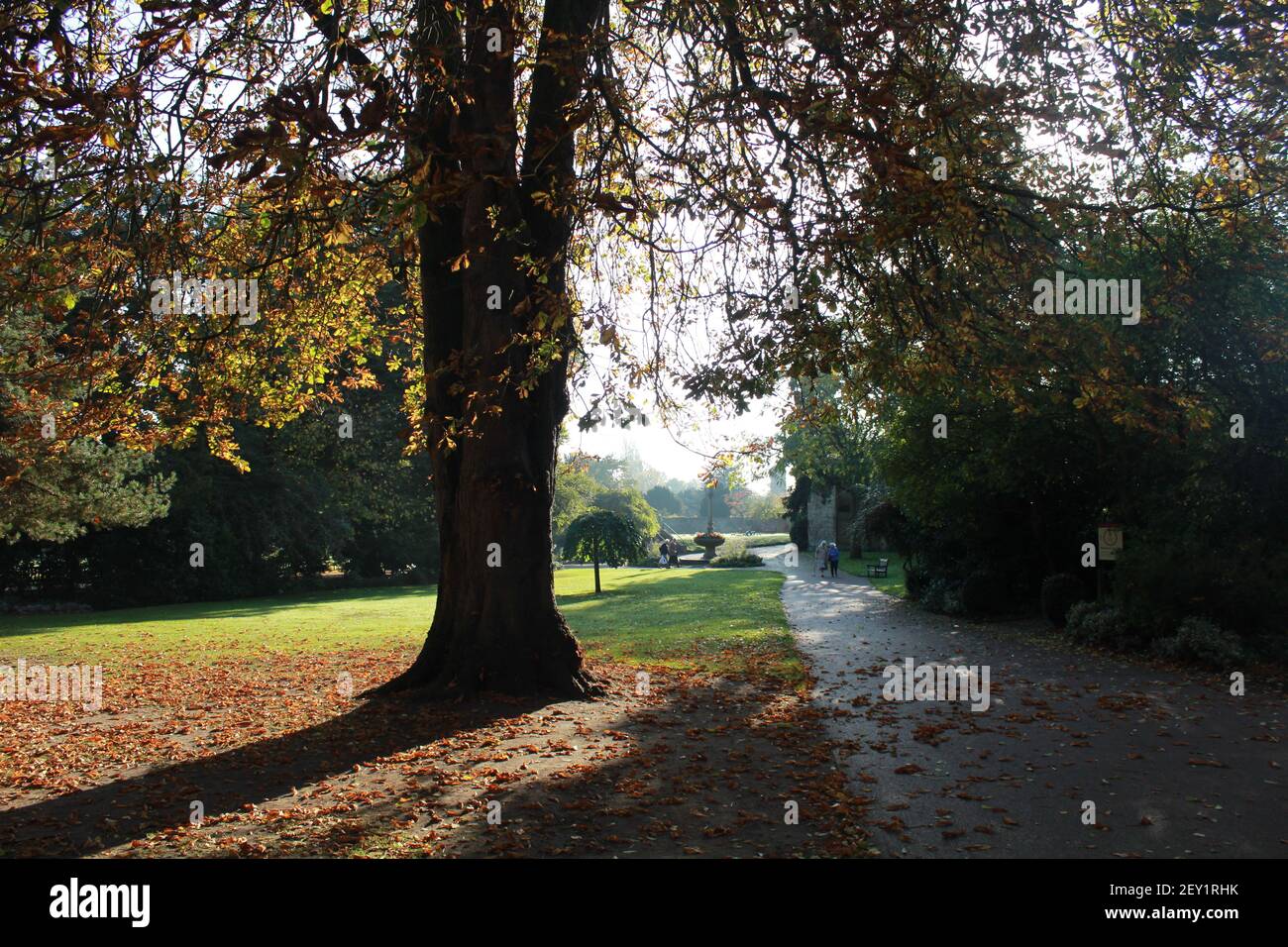 Explore autumn hi-res stock photography and images - Alamy