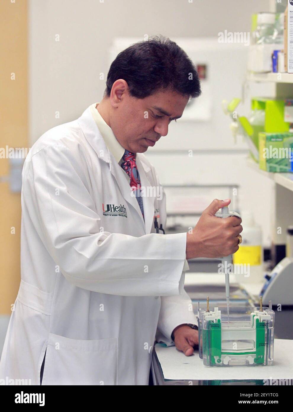 Dr. Dileep Yavagal works in the stem cell stroke basic science lab Aug. 14th, 2014, at the ...