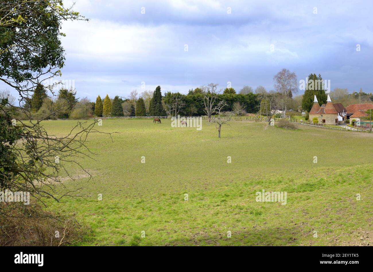 Loose Village, Kent, UK. 2 horses grazing in a paddock next to a ...