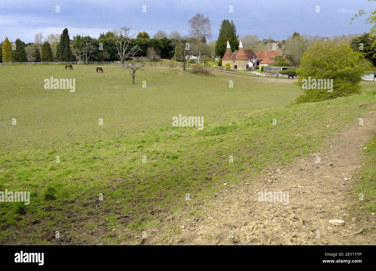 Paddock space hi-res stock photography and images - Alamy