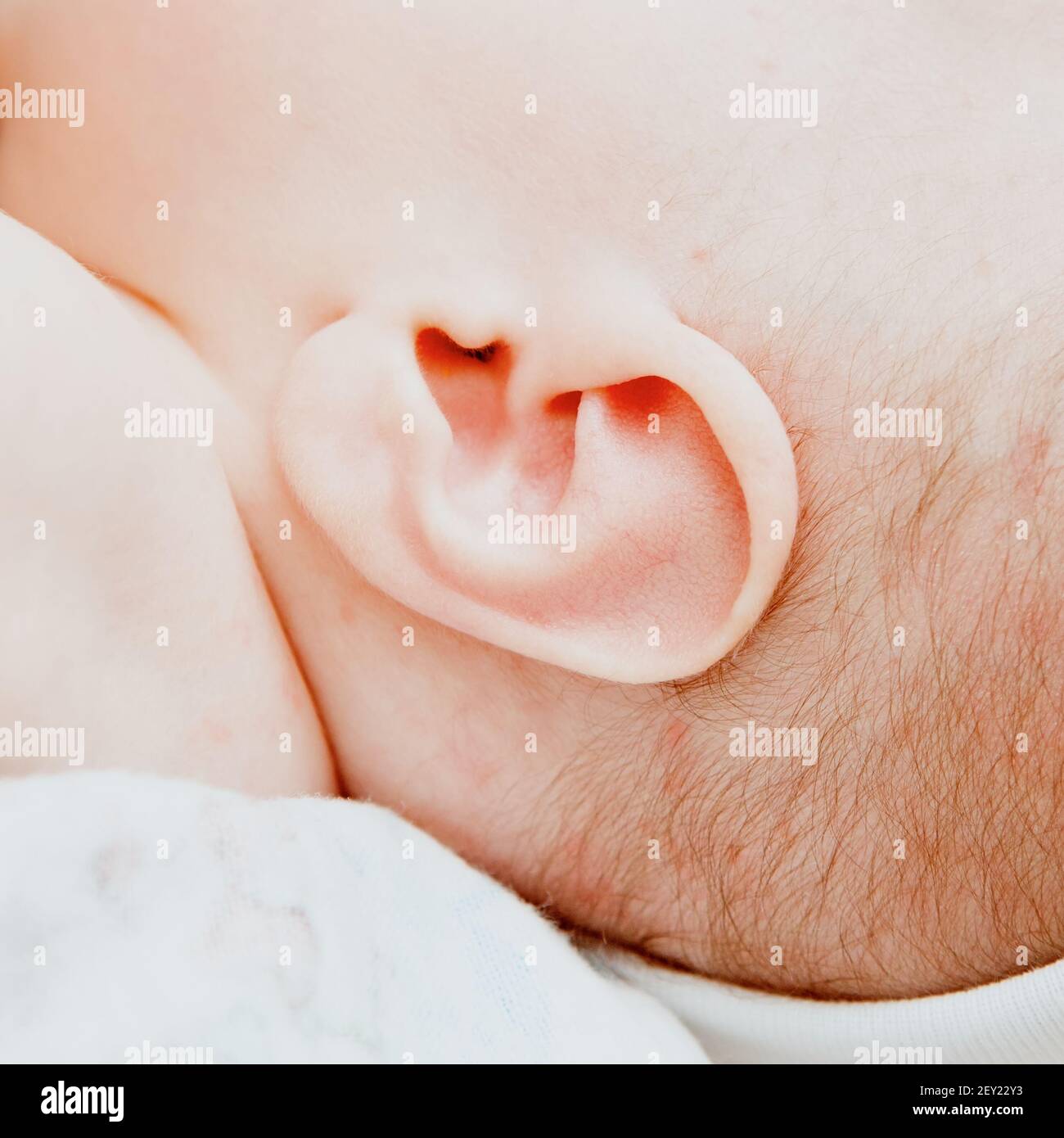 Small delicate little ear of newborn Stock Photo - Alamy