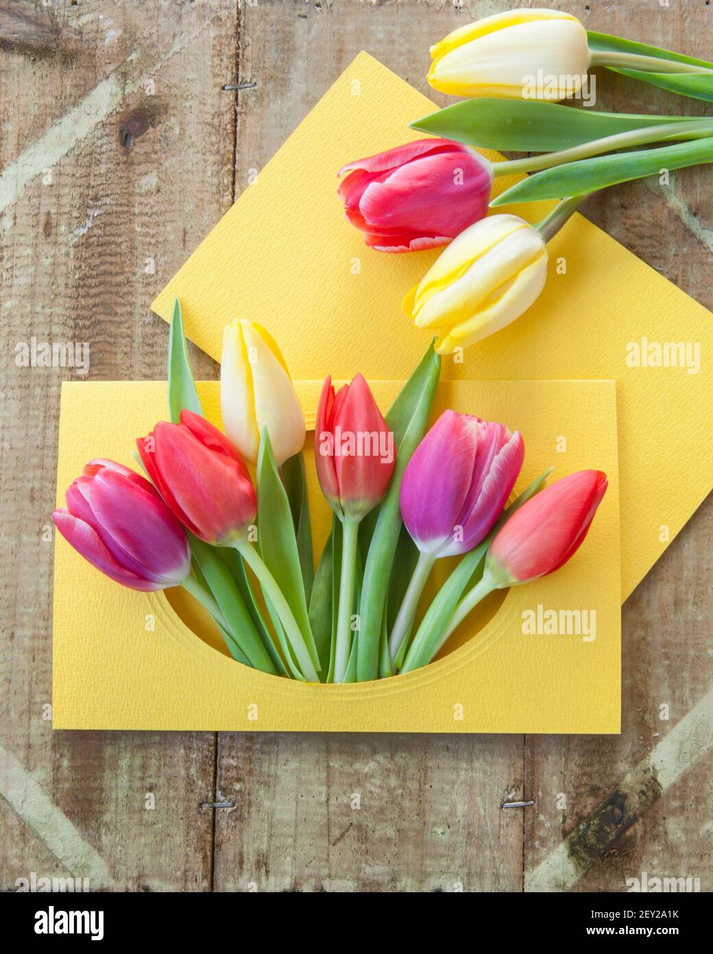 Colorful flowers in envelope Stock Photo - Alamy