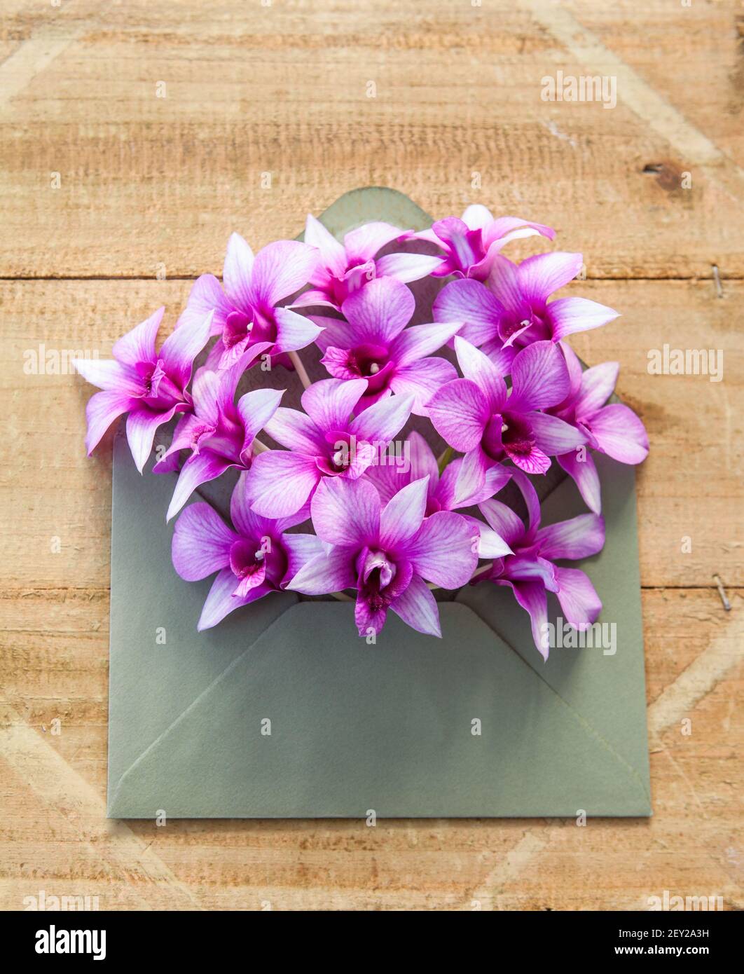 Colorful flowers in envelope Stock Photo - Alamy