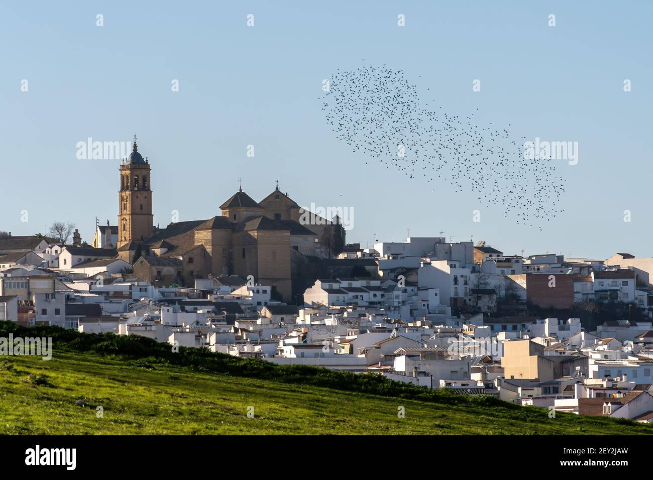 Rural village with white houses and big church in the south of Spain ...